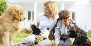 Il grande tema della bioetica che abbraccia gli animali domestici ...